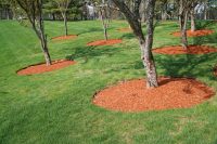 What is Mulch and What Kind Should I Use? - The Farm at Green Village