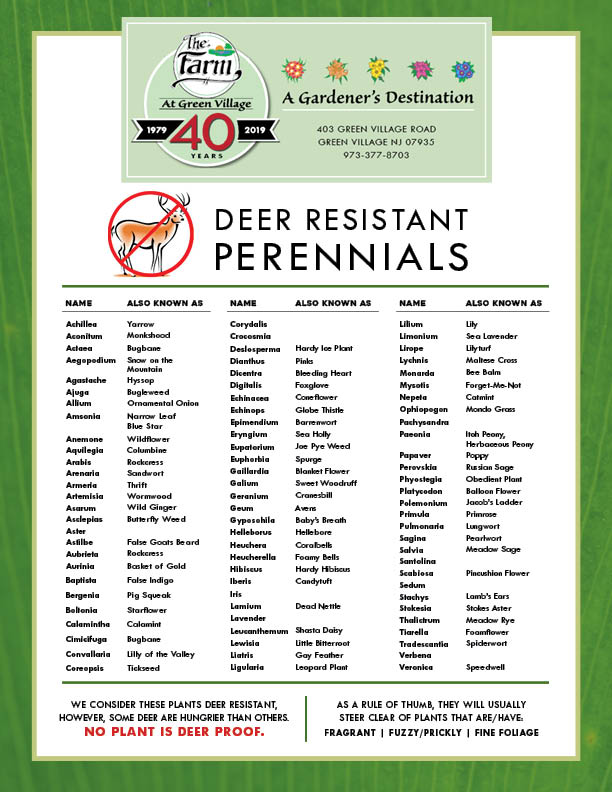 Printable List Of Deer Resistant Plants Printable Templates Free