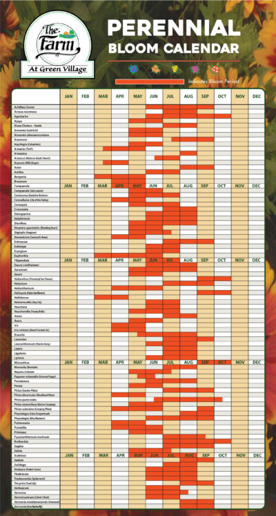 Perennial Bloom Calendar - The Farm at Green Village