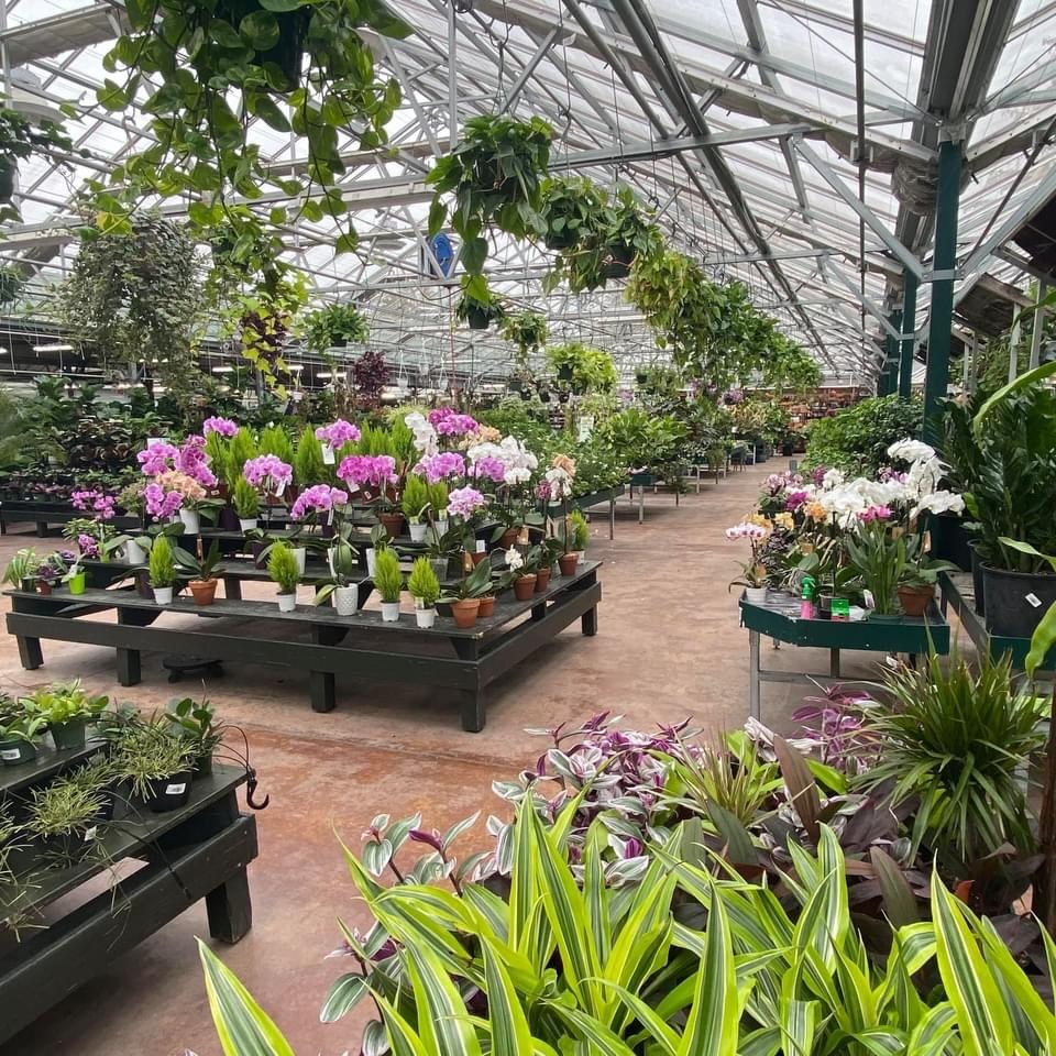 Learn about The Farm at Green Village - a complete gardener's destination