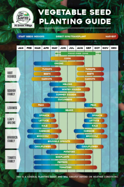 Vegetable Seed Planting Guide - The Farm at Green Village
