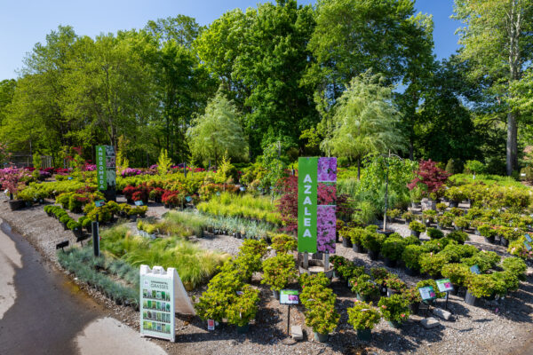 Learn about The Farm at Green Village - a complete gardener's destination