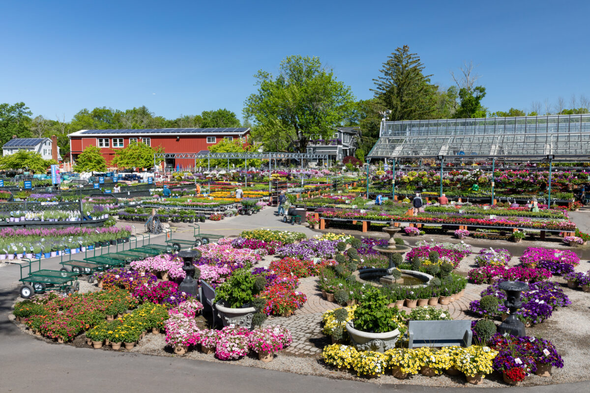 Learn about The Farm at Green Village - a complete gardener's destination